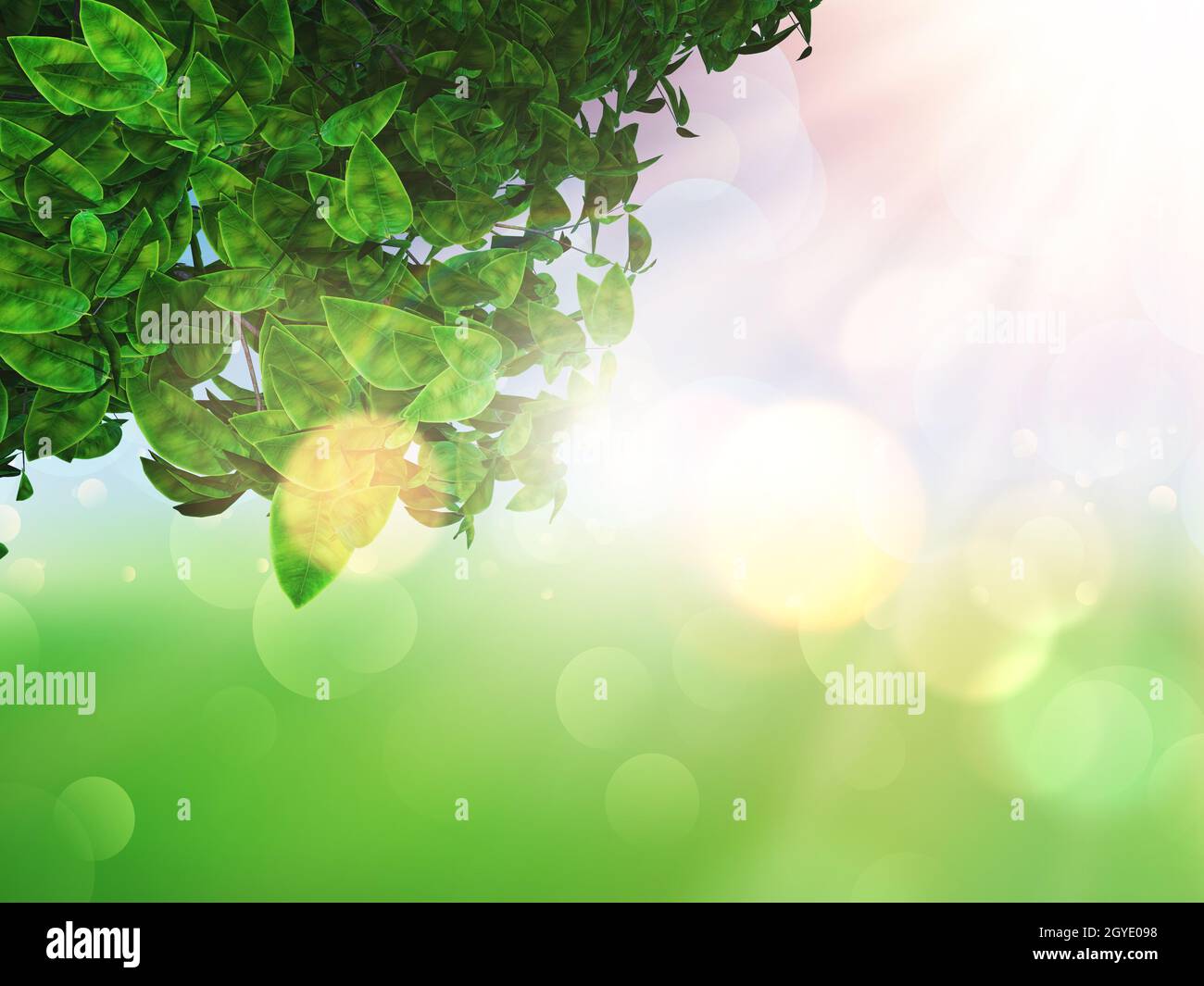3D render of leaves on a defocussed sunny background Stock Photo - Alamy