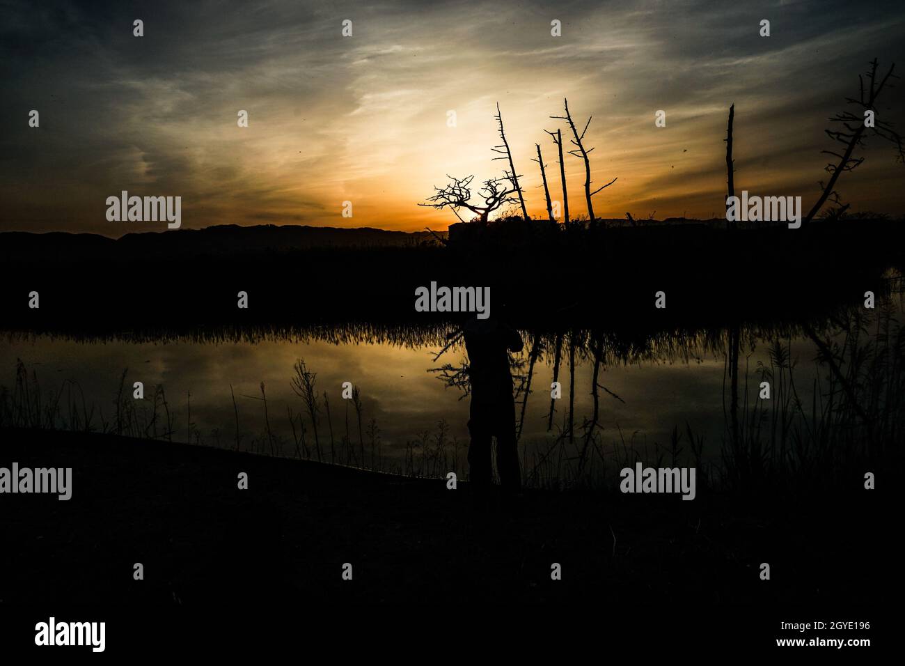 Trees reflected in the evening and the water surface. Shooting Location ...