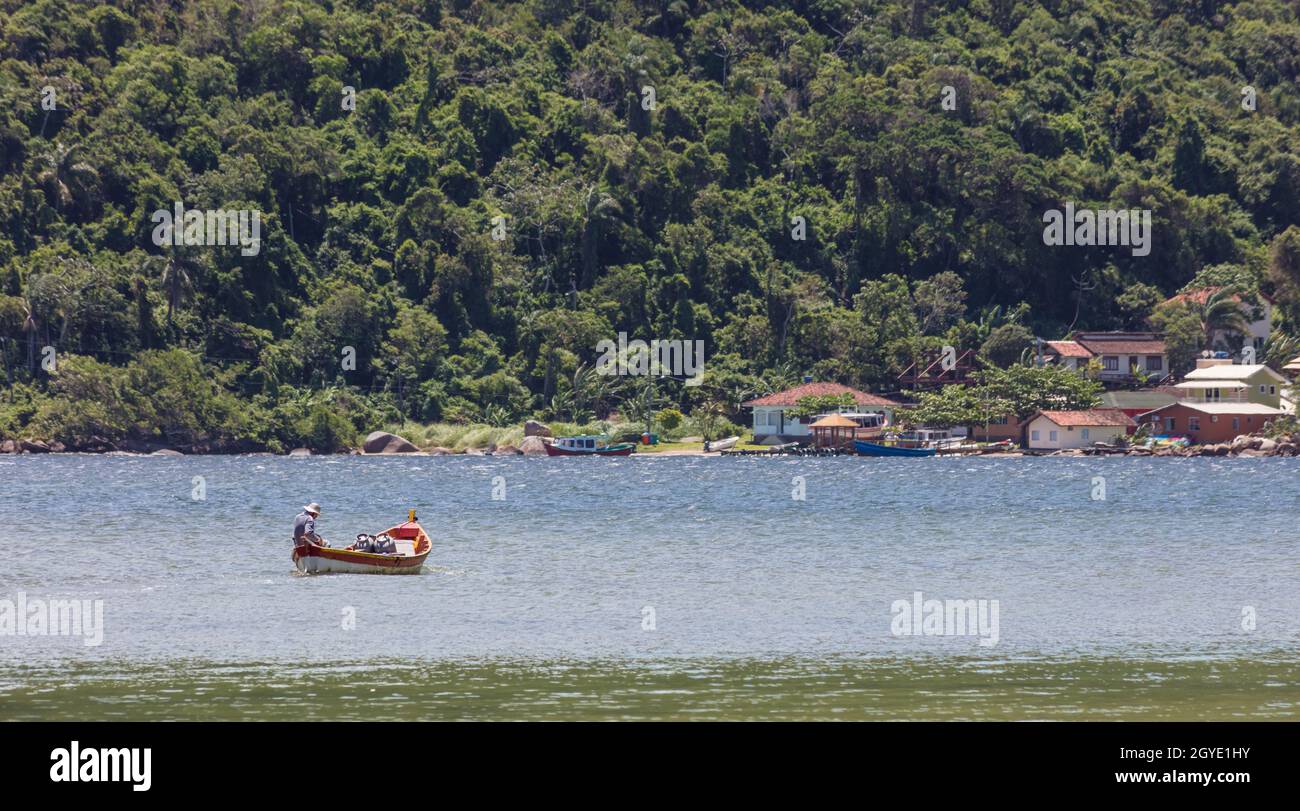Shot of a man boating a canoe in a lake in front of trees in Santa ...