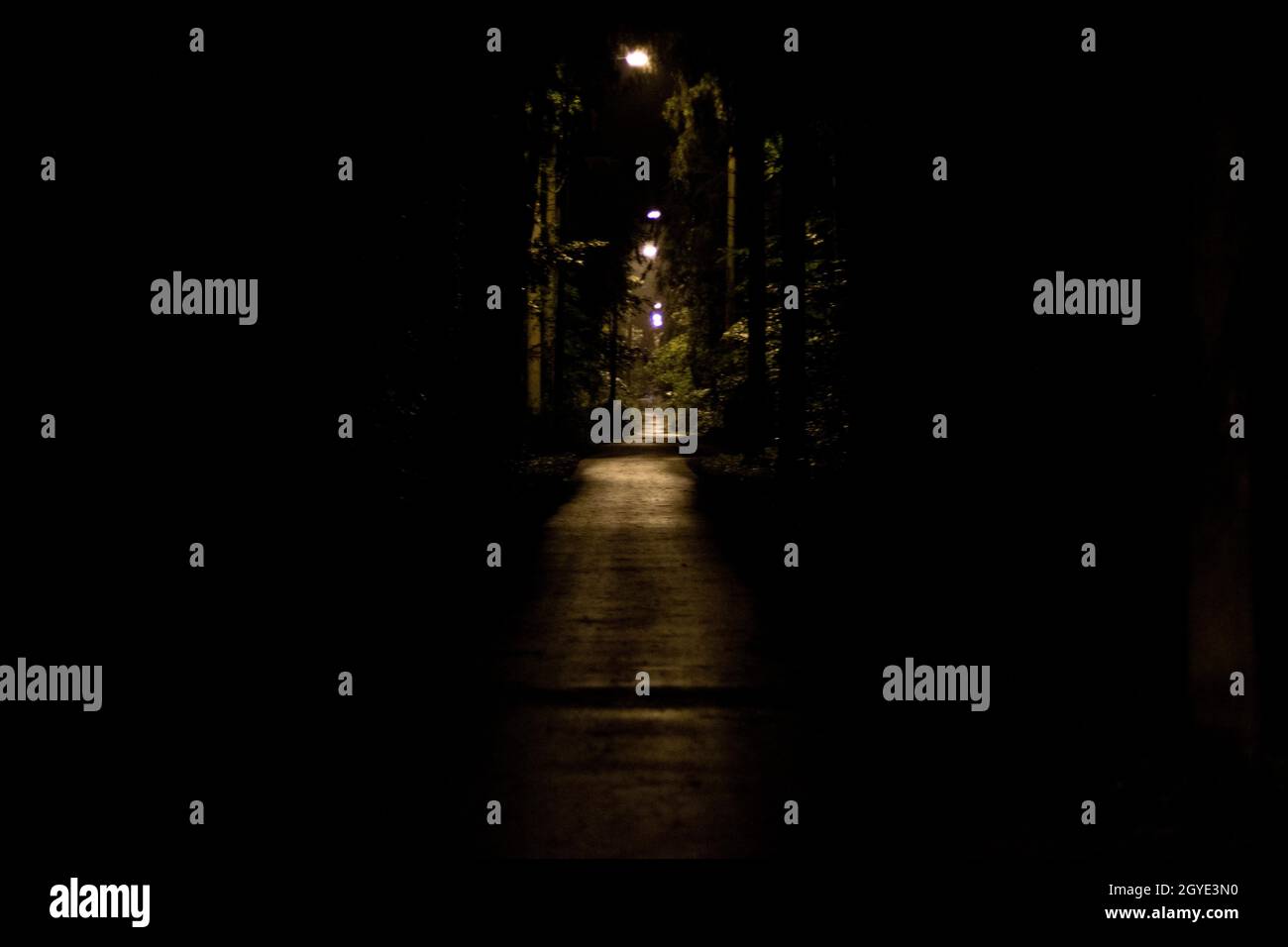 The path at night goes into the distance. Light in the park late in the ...
