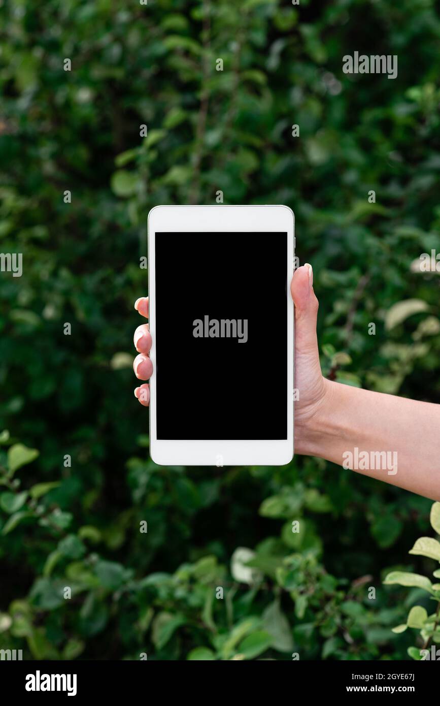 Voice And Video Calling Capabilities, Connecting People Together Stock ...