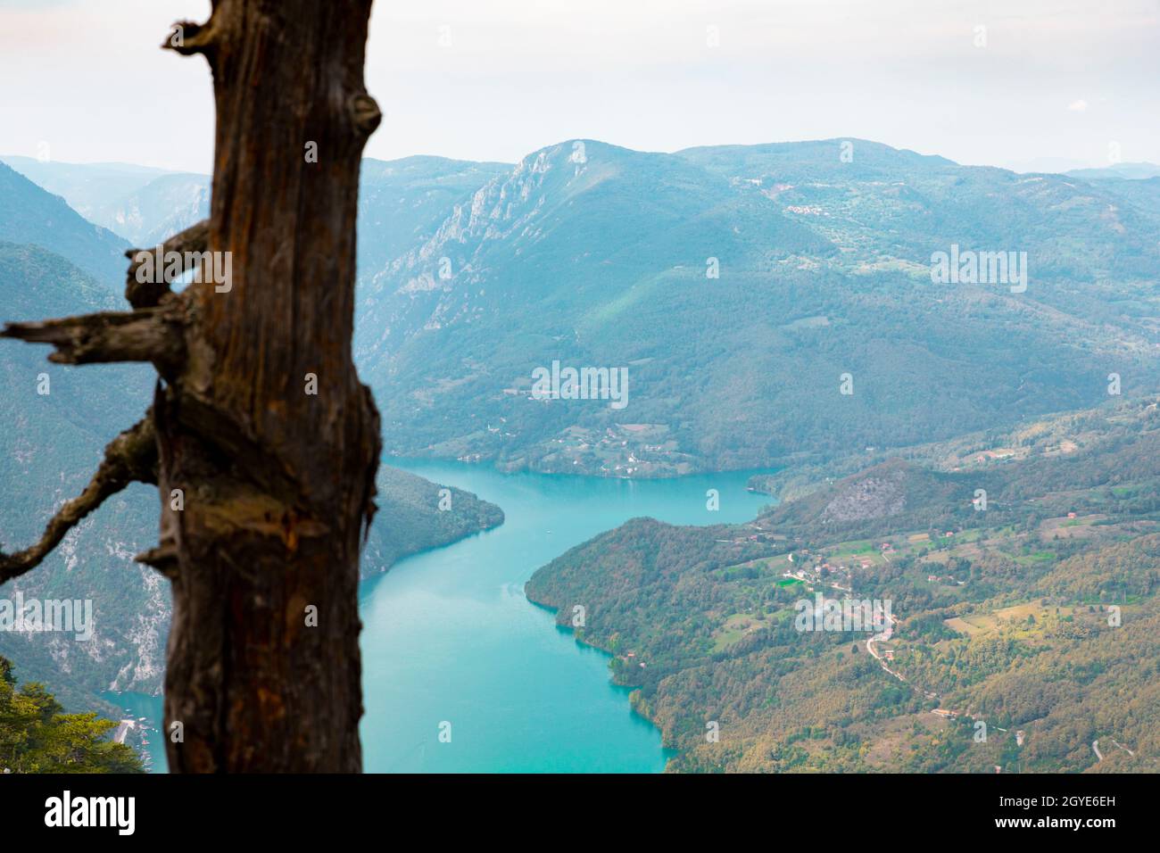 Tara National Park, Serbia. Viewpoint Banjska Stena. View at Drina ...