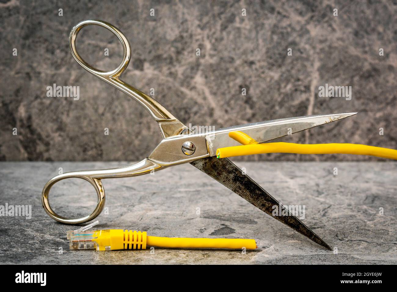 Restricted internet access concept. Yellow patch cord cut by scissors ...