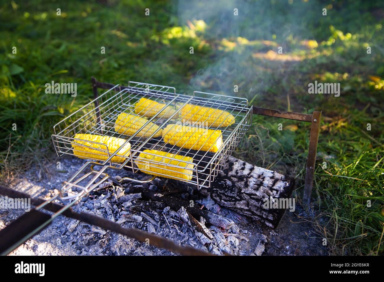 Fried corncobs of yellow juicy corn cooked on a wire rack. Outdoor ...