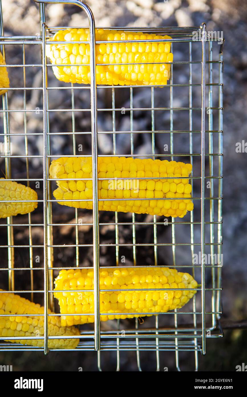 Roasted yellow juicy corn cobs cooked on a wire rack. Weekend, outdoor ...