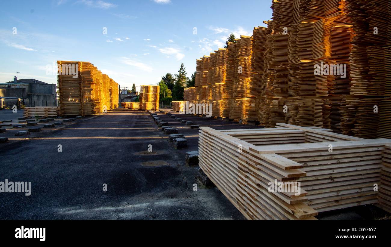 sawn pine wood placed in piles Stock Photo - Alamy