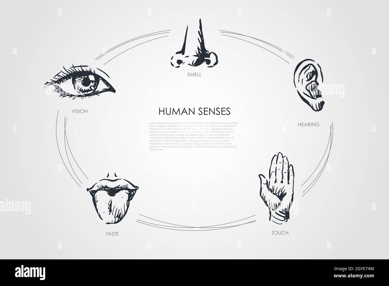 Human senses - vision, taste, touch, hearing, smell vector concept set ...