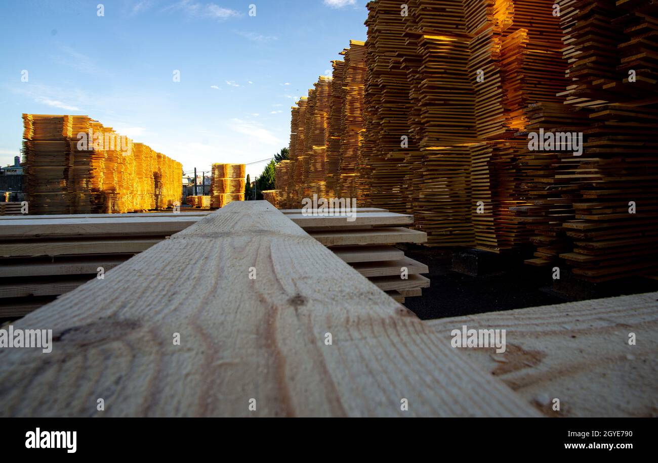 sawn pine wood placed in piles Stock Photo - Alamy