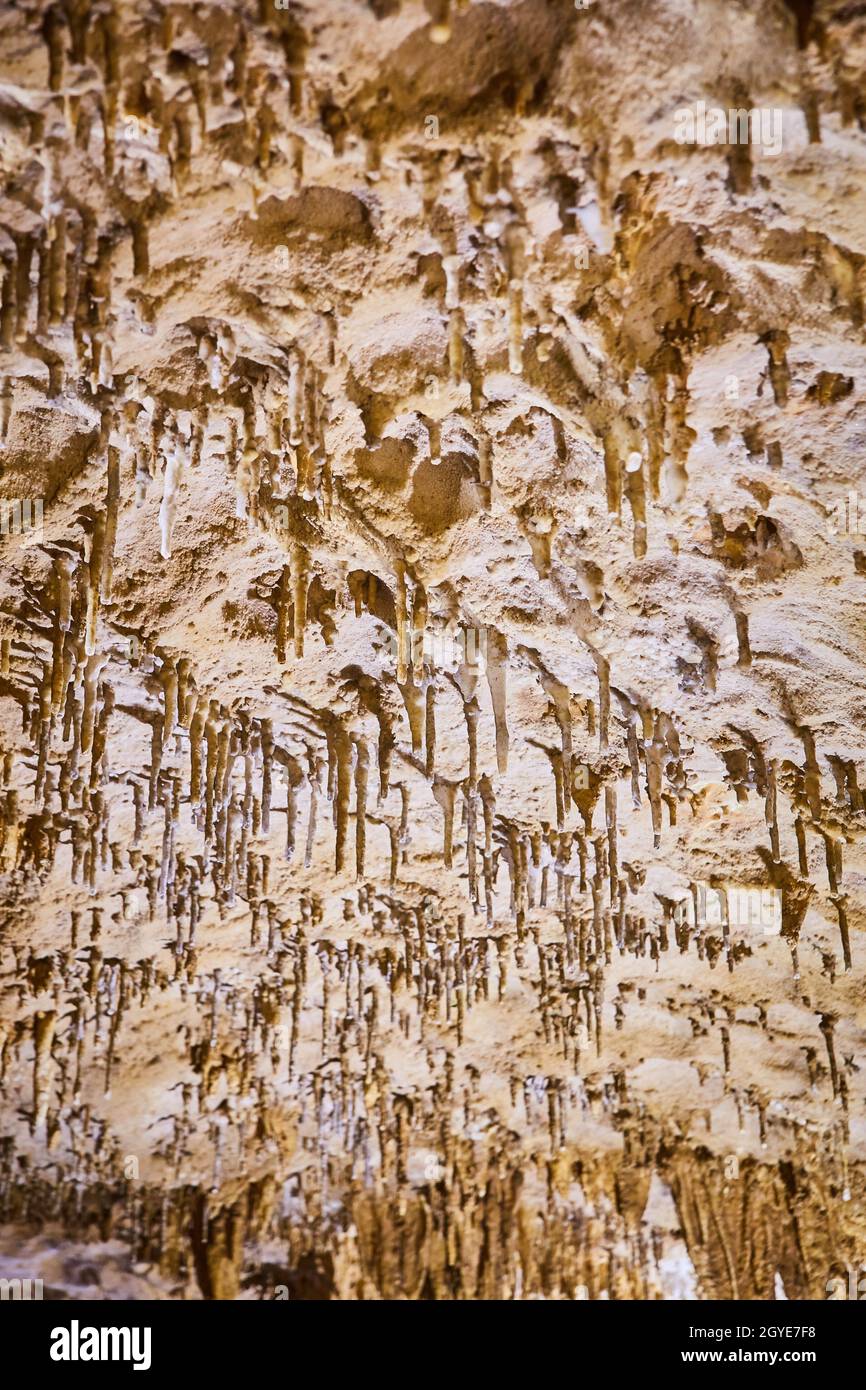 Cave ceiling texture hi-res stock photography and images - Alamy
