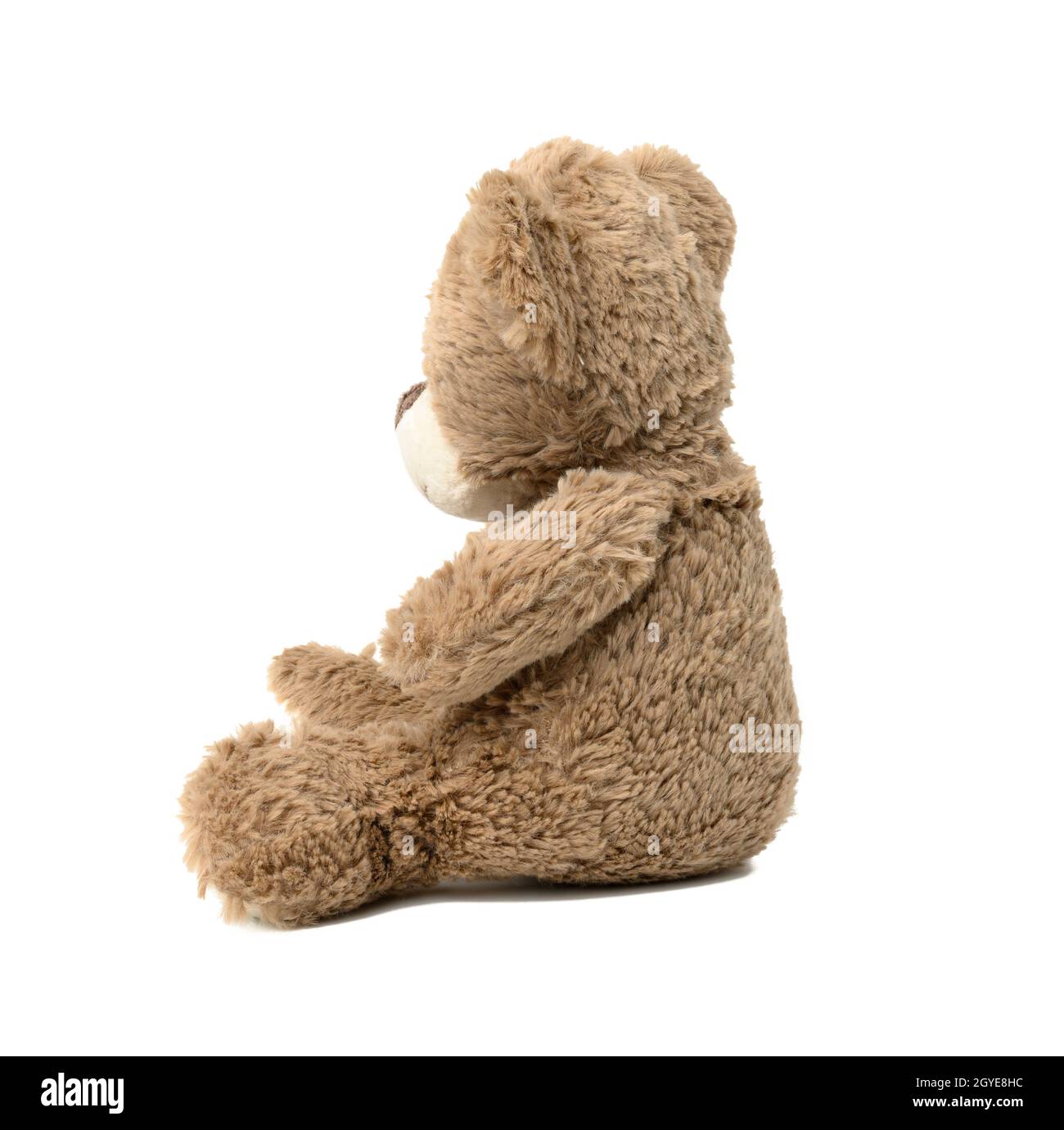cute brown teddy bear sitting sideways on white isolated background ...