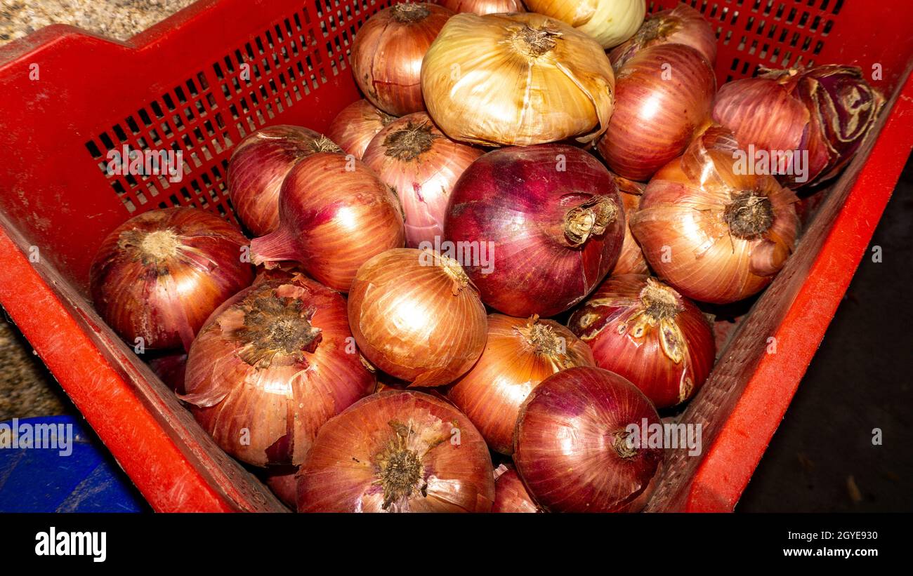Fresh pink onions hi-res stock photography and images - Alamy