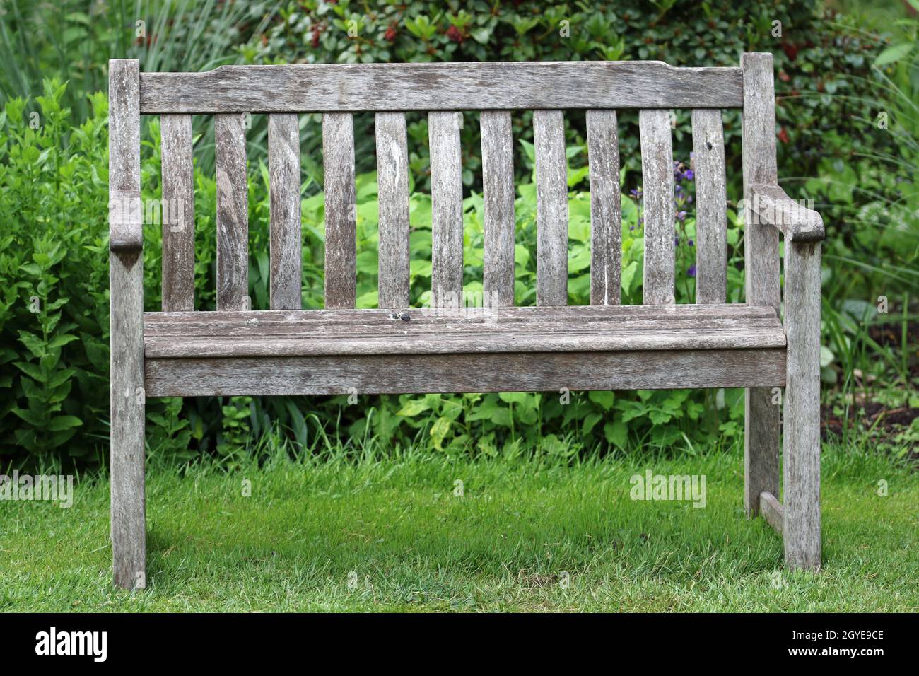 Traditional wooden park bench seat at a slight angle on a grass lawn ...