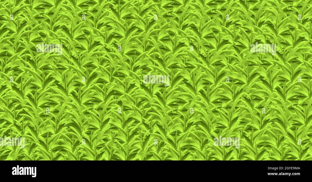 Realistic yellow-green grass, lawn background - Vector illustration ...