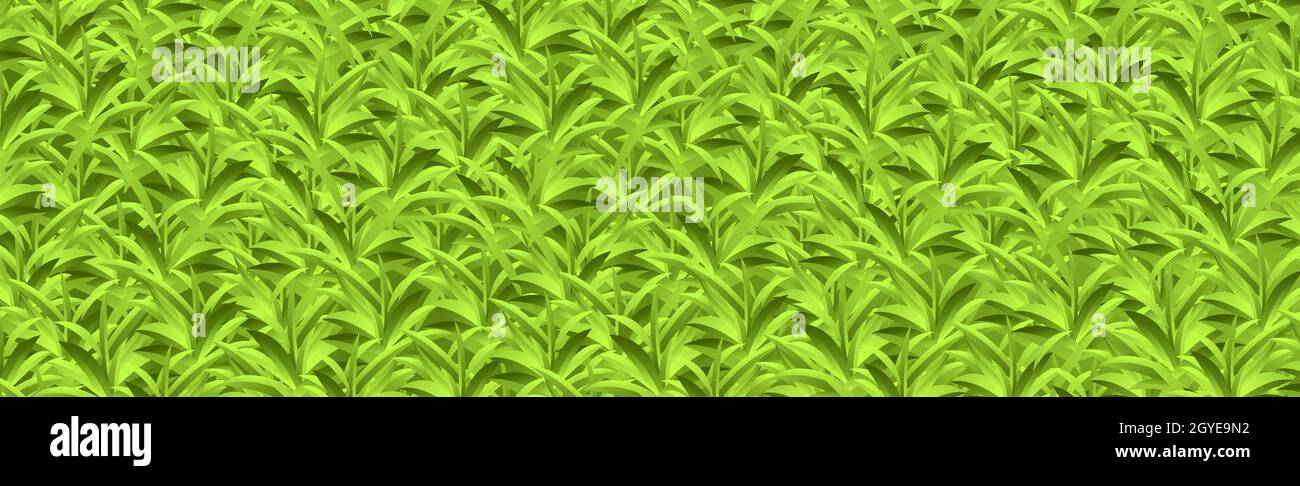 Realistic yellow-green grass, lawn background - Vector illustration ...