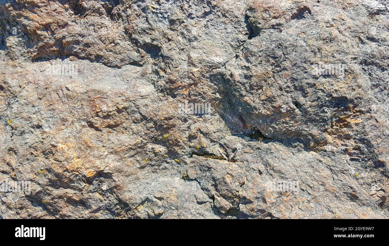 Beautiful grayish rock stone texture Stock Photo - Alamy