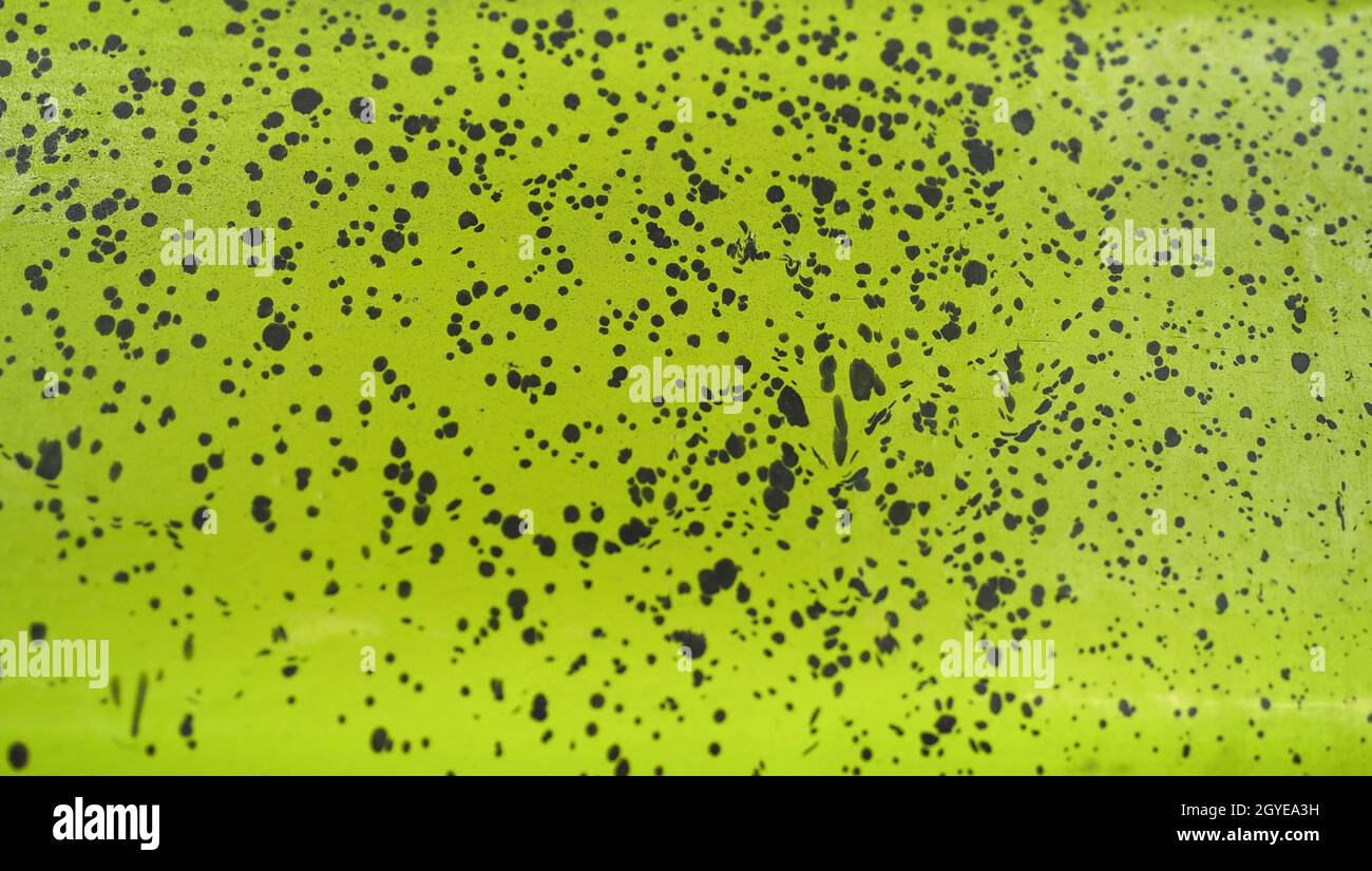 Green metal texture useful hi-res stock photography and images - Alamy