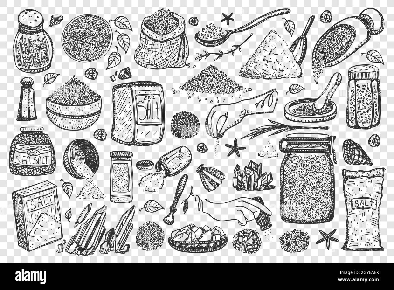 Salt doodle set. Collection of cooking spices sea salty condiments in ...