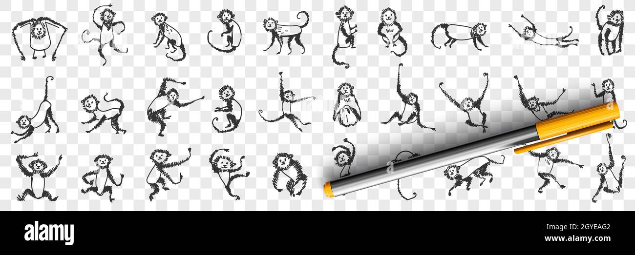 Monkeys enjoying life doodle set. Collection of hand drawn monkey ...