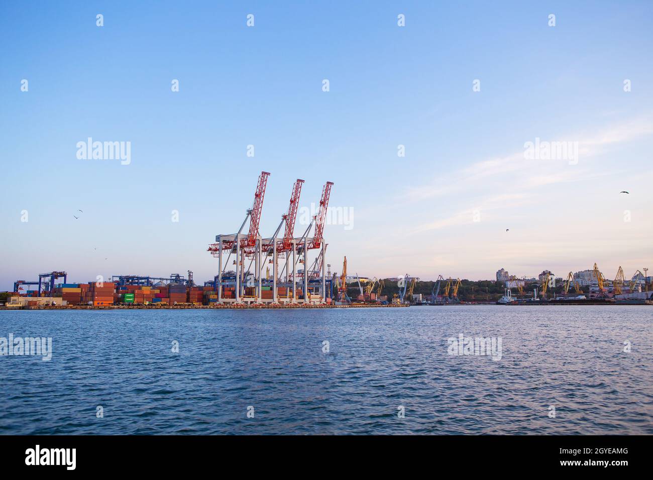 View of the commercial seaport with cranes, cargo Stock Photo - Alamy