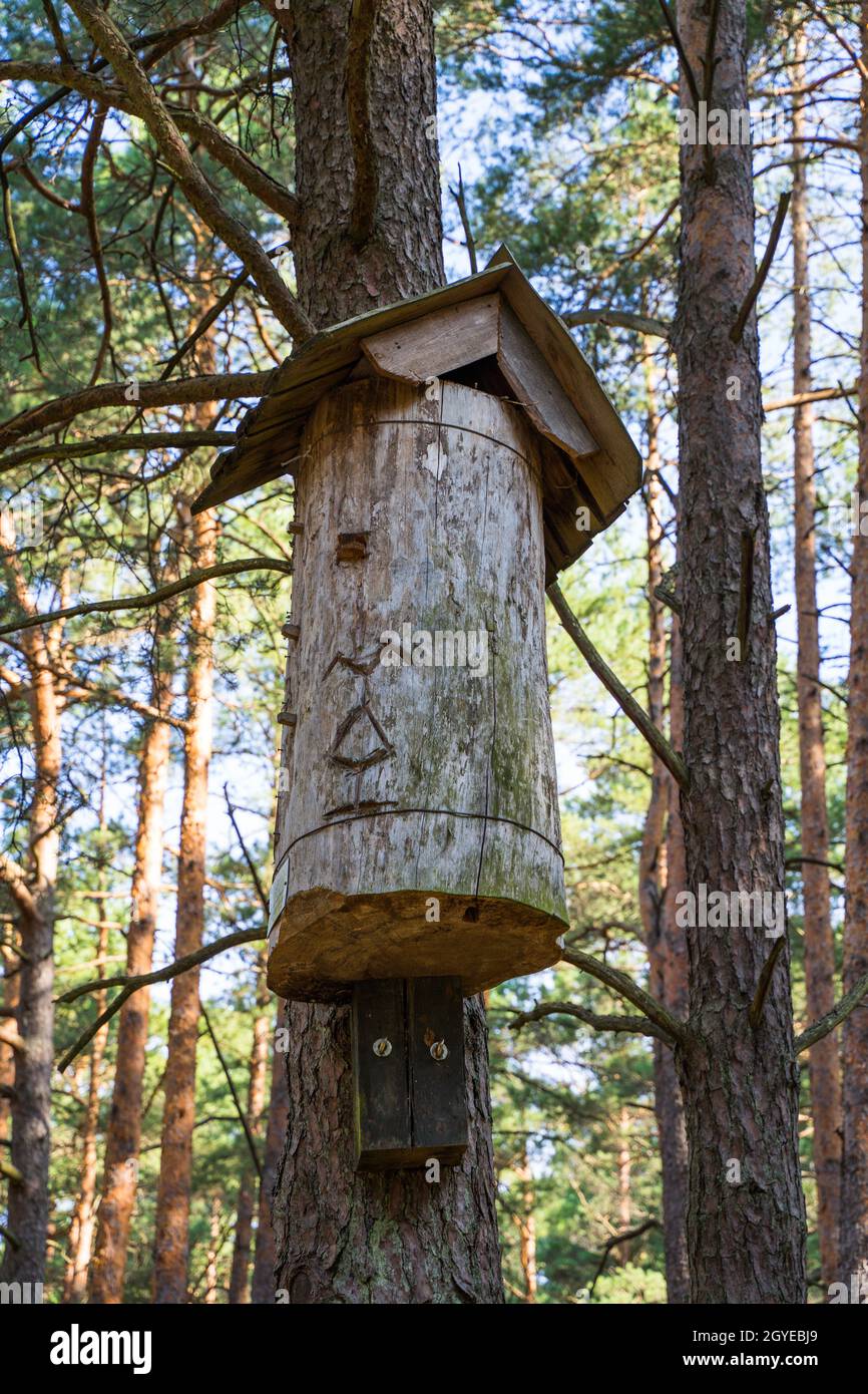 Traditional hive, a chamber hollowed out for bee breeding purposes ...