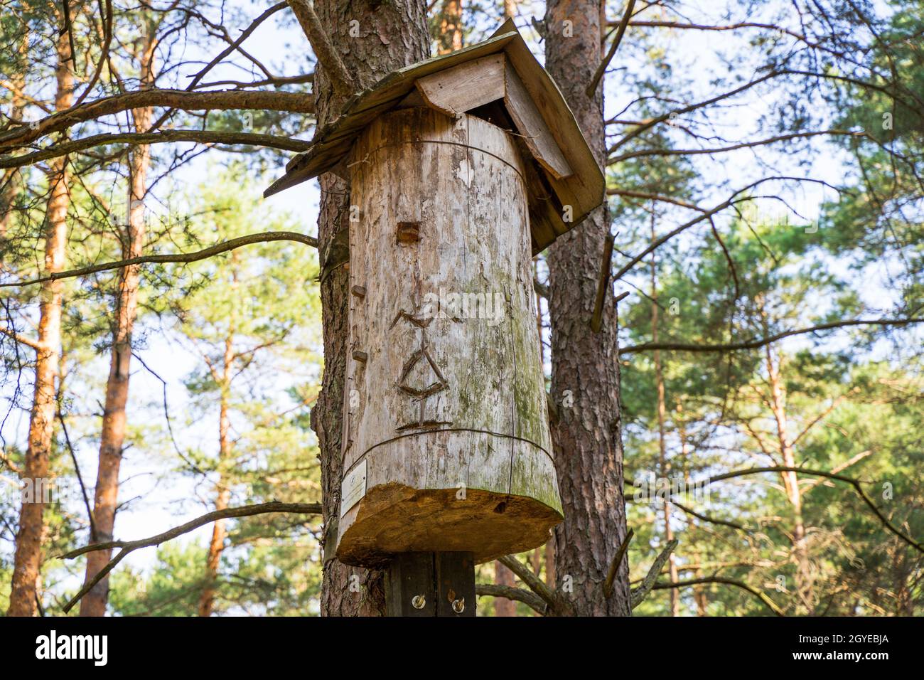 Traditional hive, a chamber hollowed out for bee breeding purposes ...