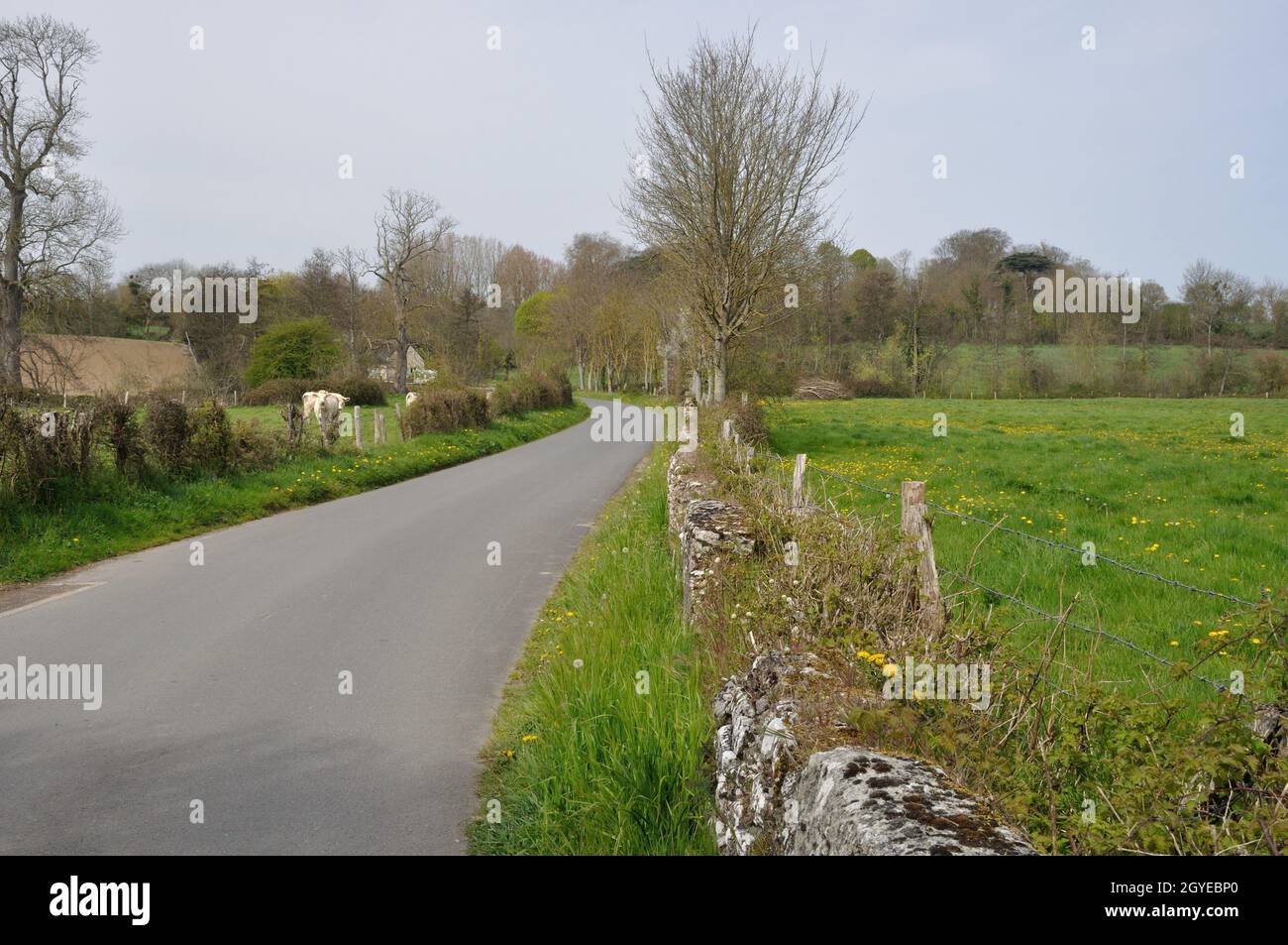 A road in Normandy contryside Stock Photo - Alamy