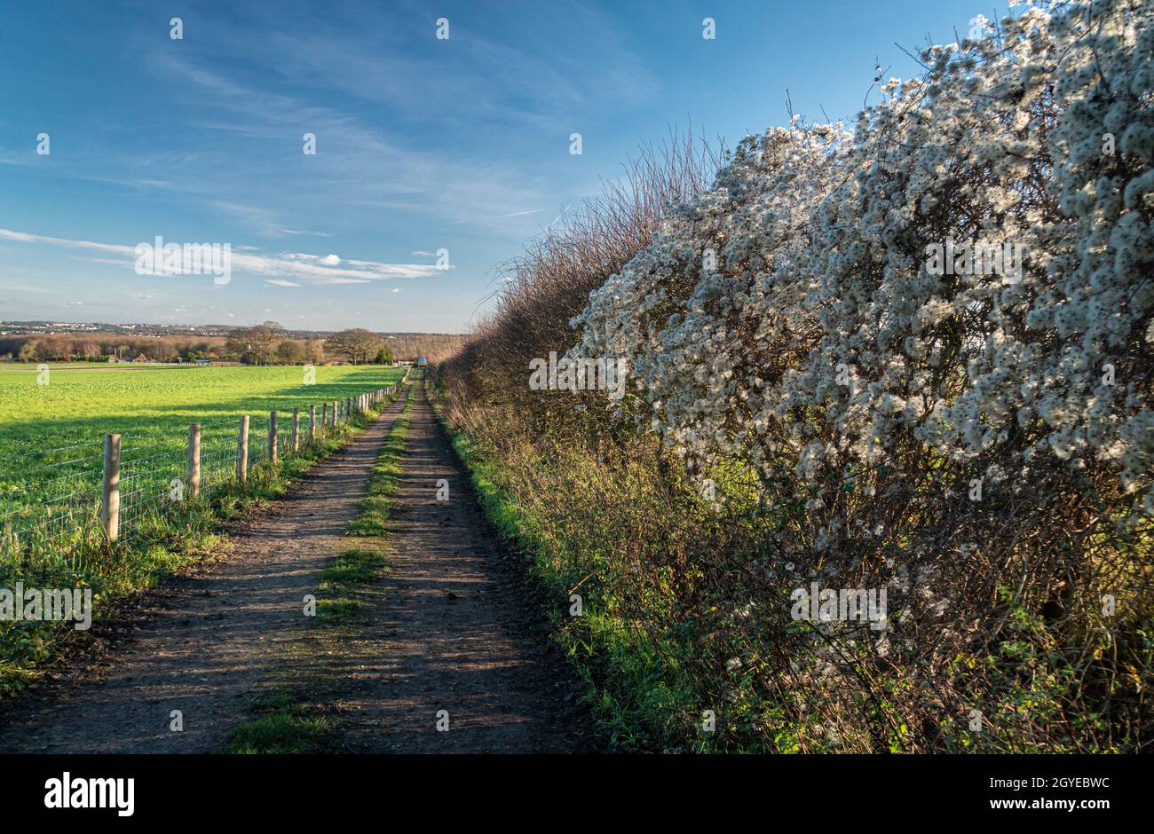 Kent countryside uk winter hi-res stock photography and images - Alamy