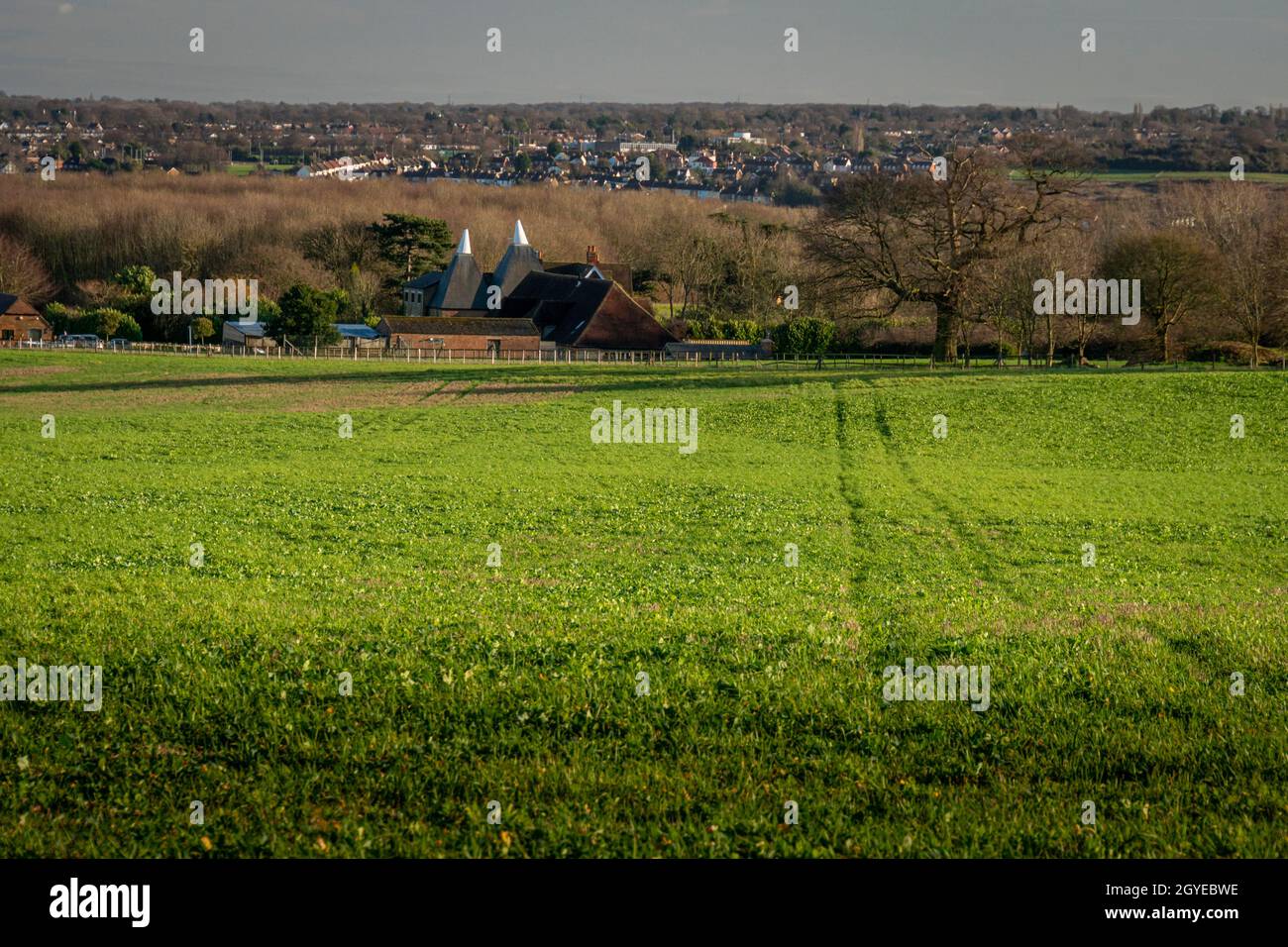 View across fields in the Kent Countryside, UK Stock Photo - Alamy