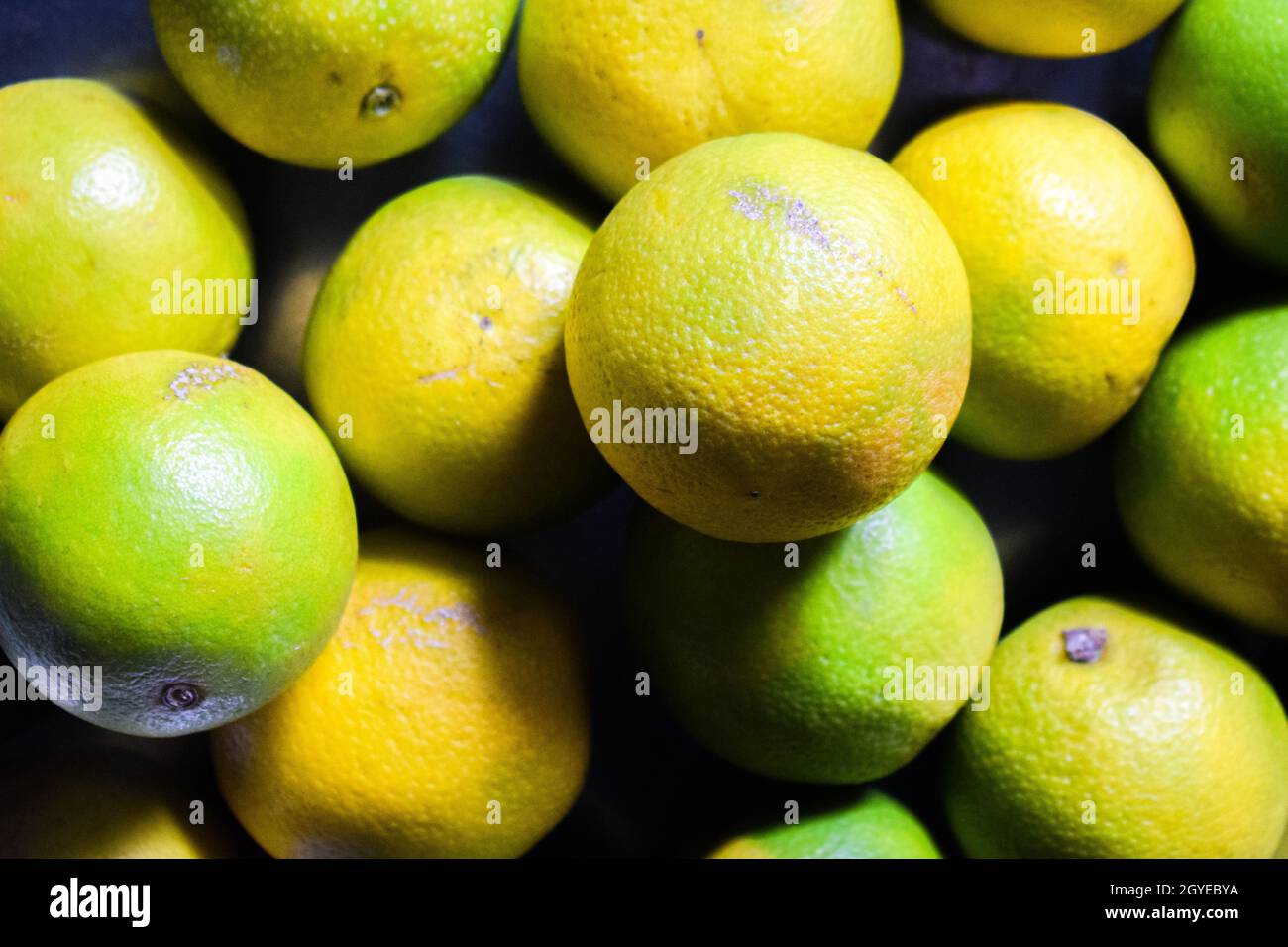 Closeup of citrus fruits Stock Photo - Alamy