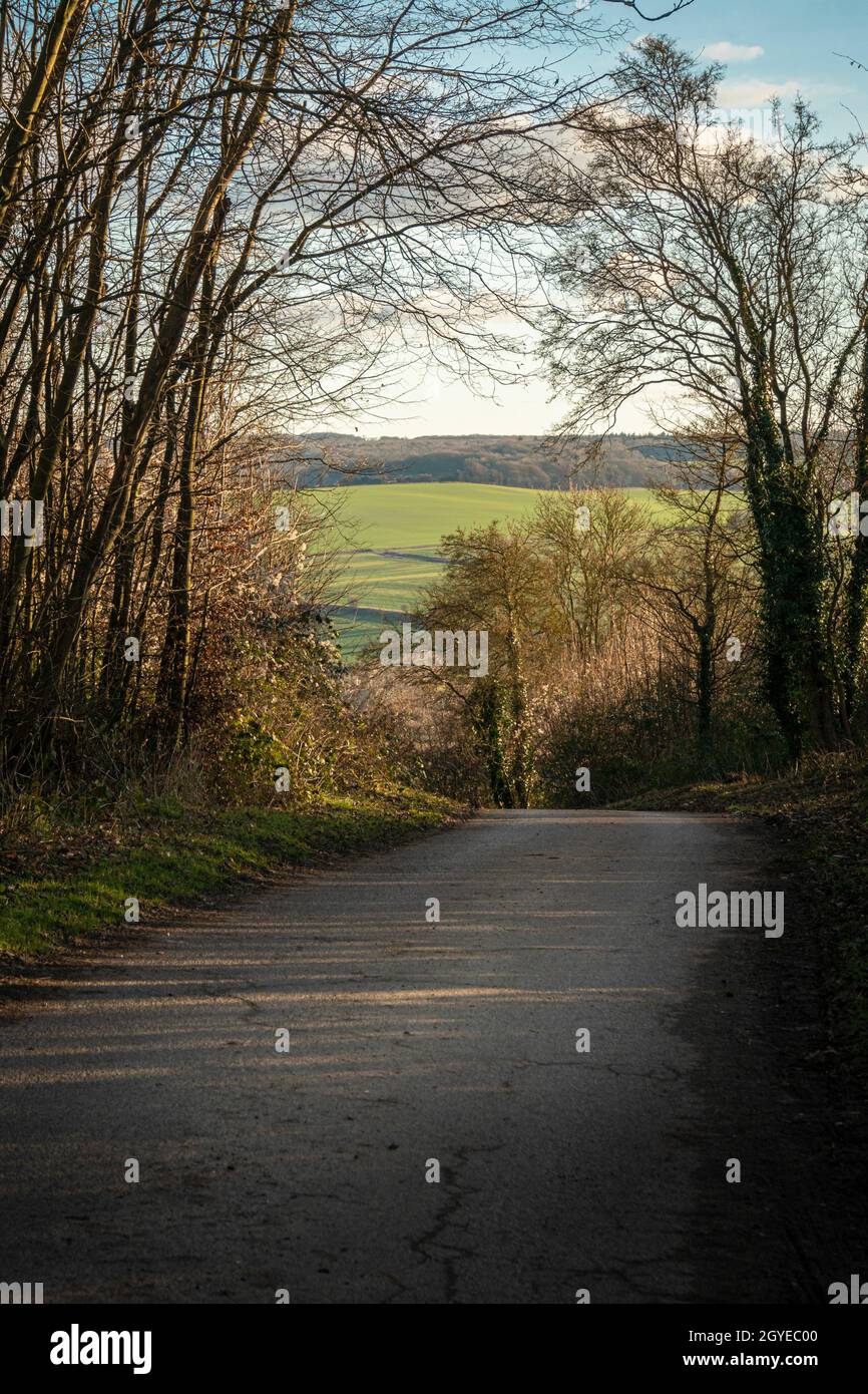 A track through fields in the countryside in the winter, Kent, UK Stock ...