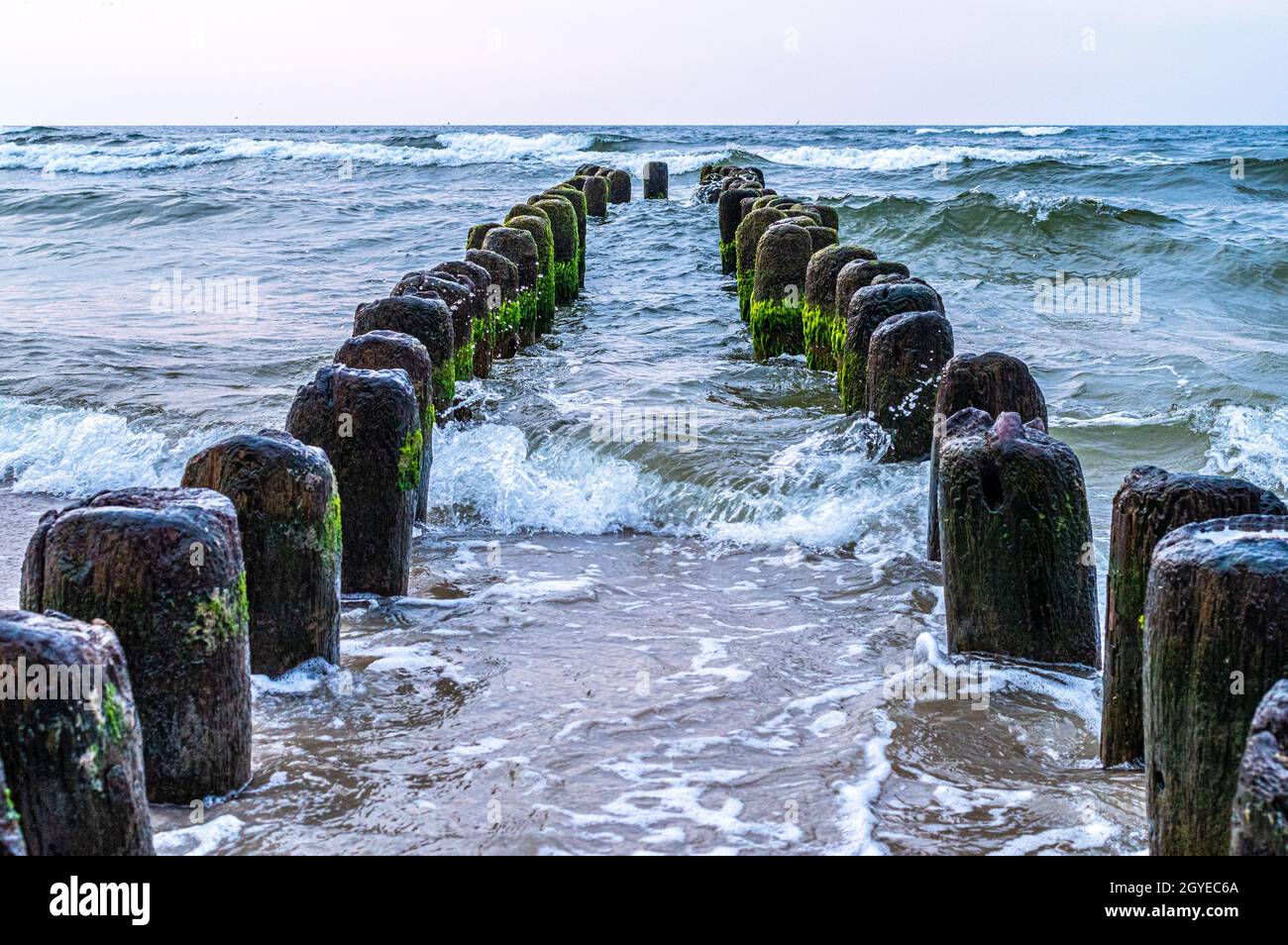 Wooden barricades in the sea Stock Photo - Alamy