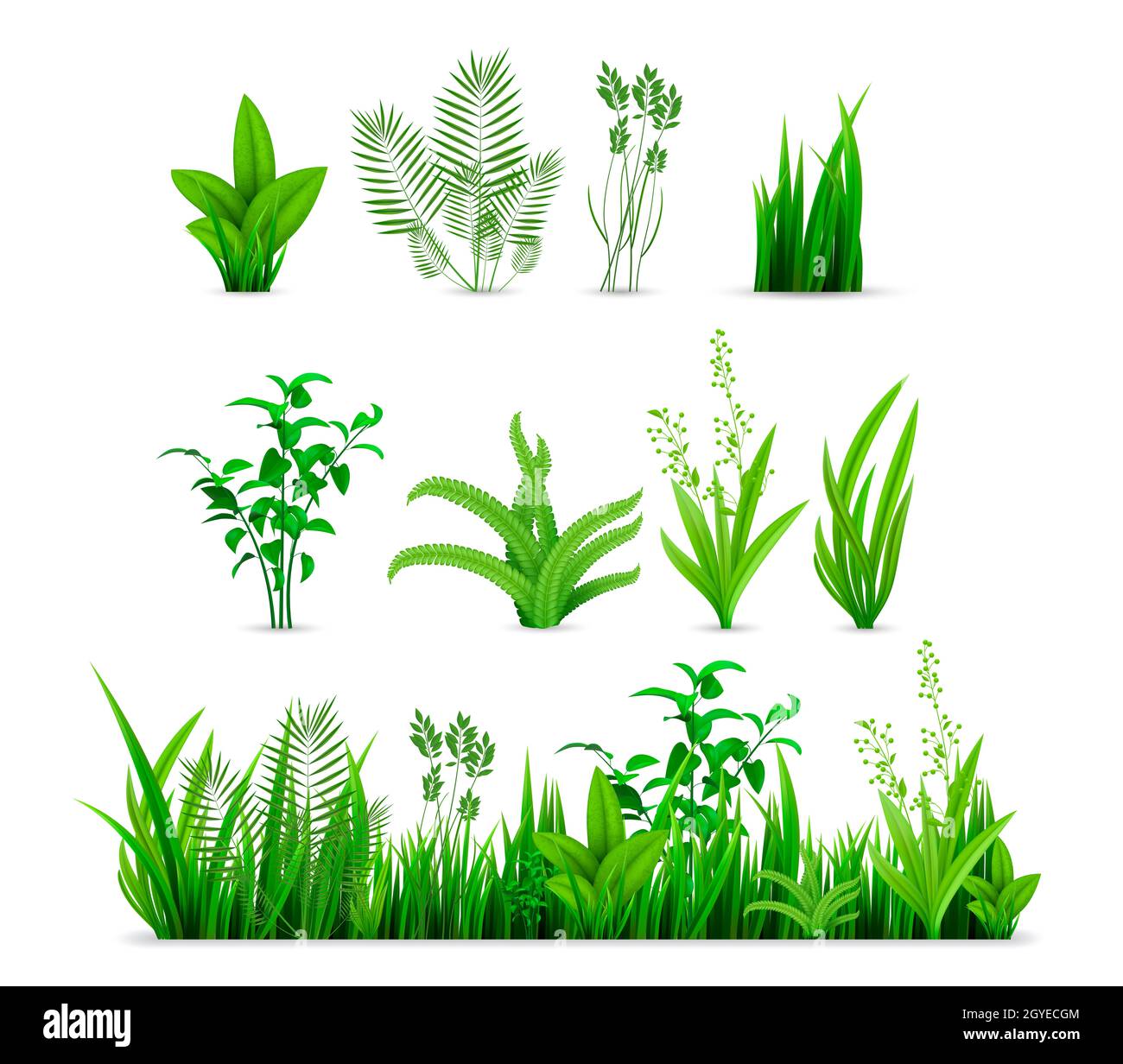 Realistic greens hi-res stock photography and images - Alamy
