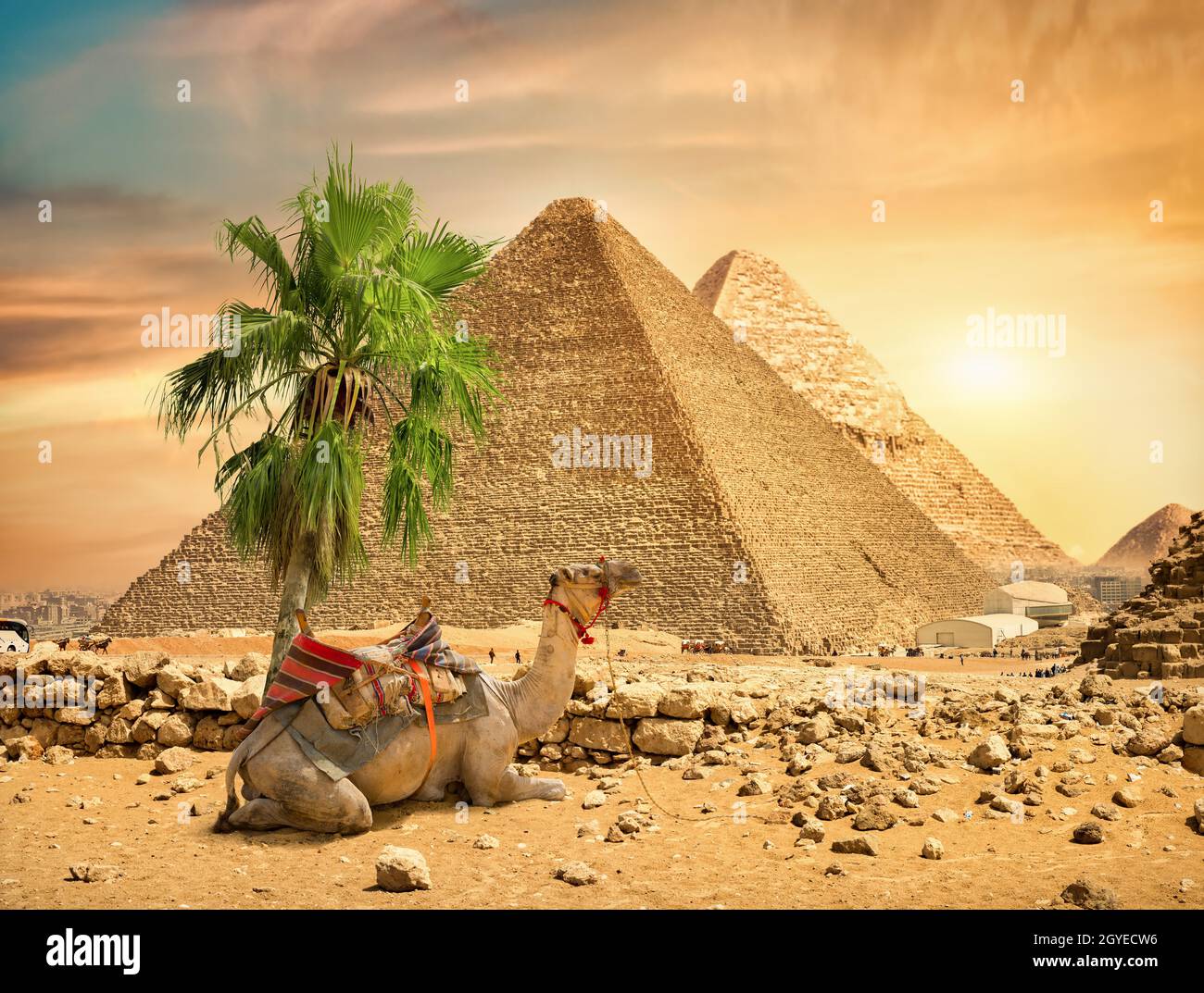 Sandy desert in Egypt at the sunset Stock Photo - Alamy