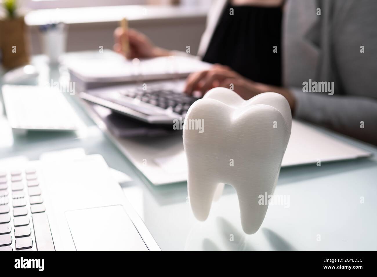 Dentist Paperwork At Desk In Front Of Teeth Stock Photo - Alamy