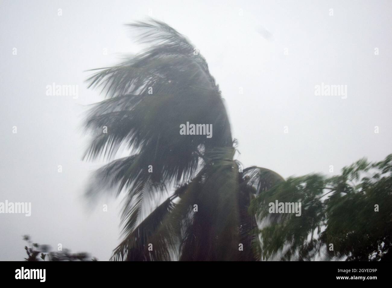 Mphan hi-res stock photography and images - Alamy