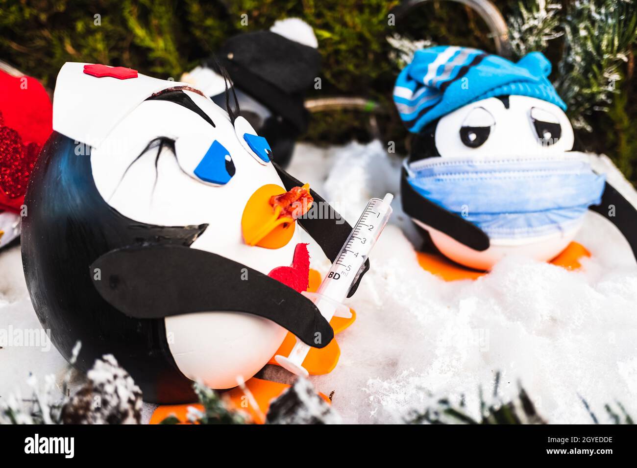 Sick penguin hi-res stock photography and images - Alamy