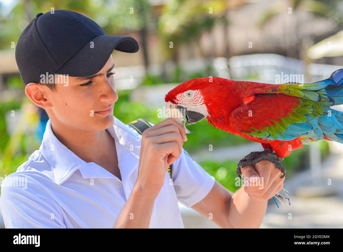Baby parrot with kids hi-res stock photography and images - Alamy