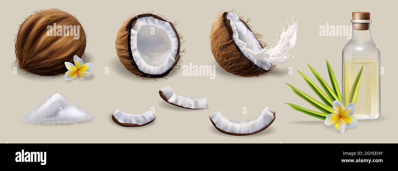 Coconut pulp, water or oil concept. Natural ripe coconut in shell ...