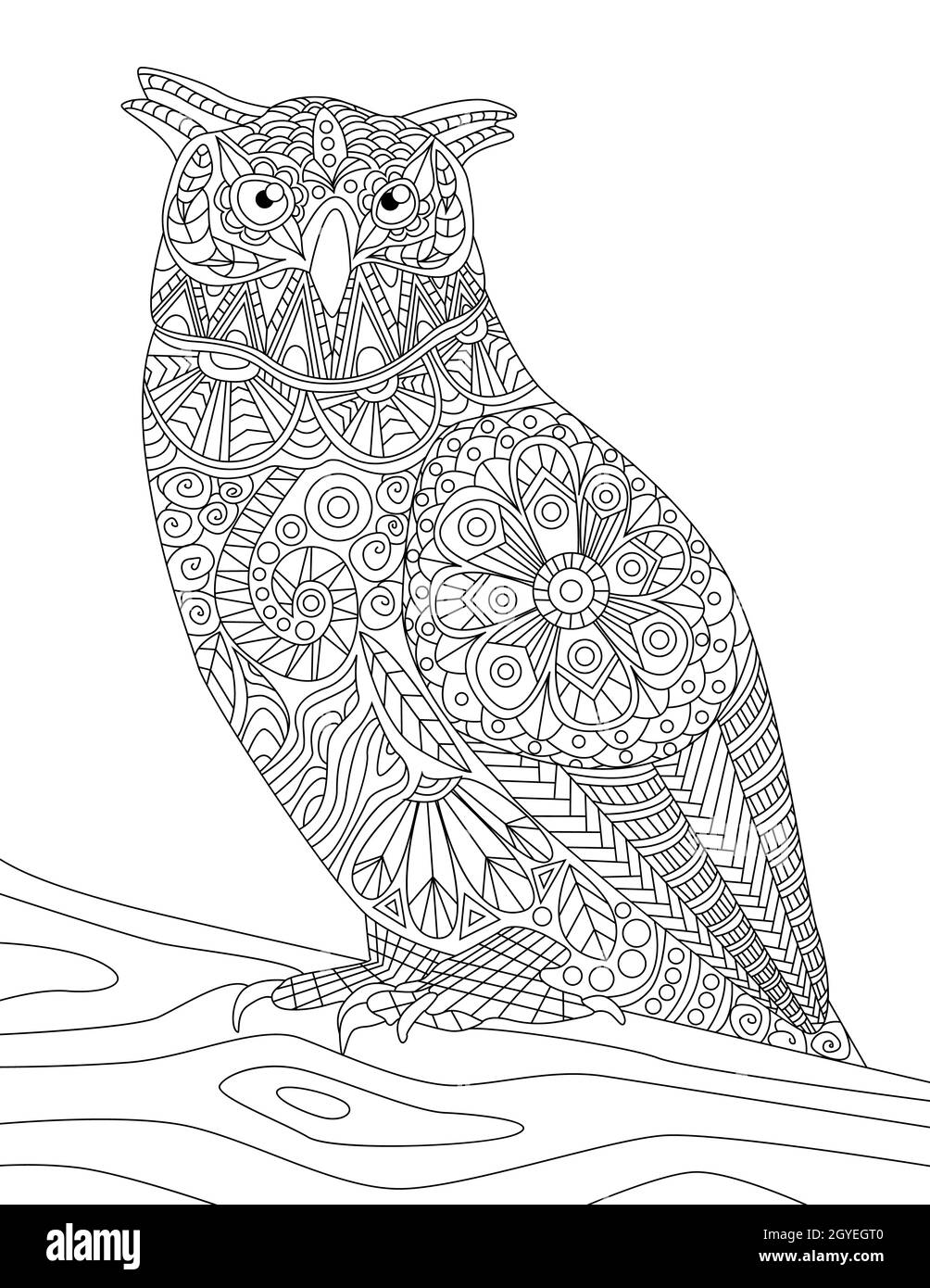Black white owl line drawing hi-res stock photography and images - Alamy