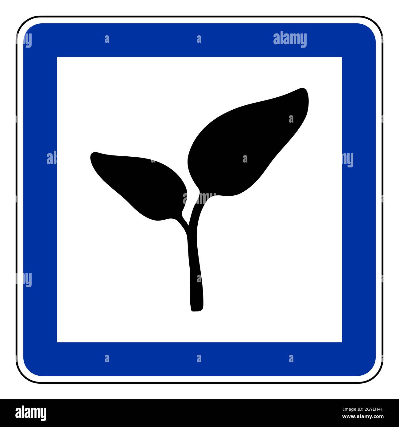 Plant and road sign Stock Photo - Alamy