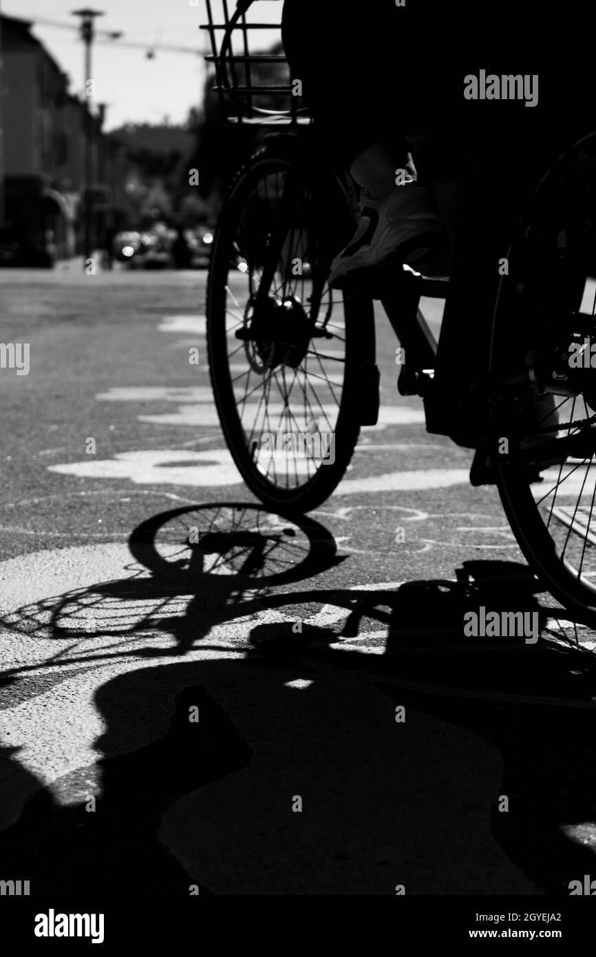A black and white image with high contrast and strong shadows. The ...