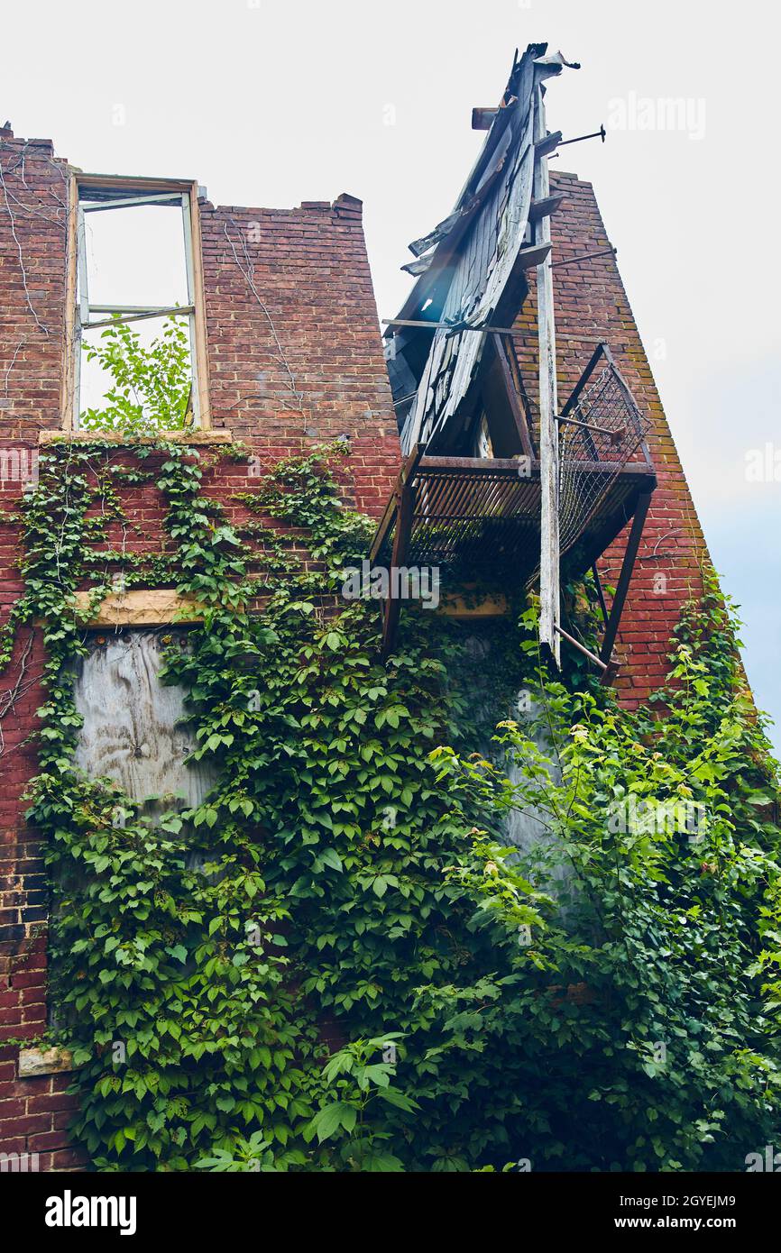 Vertical of abandoned red brick building falling apart and covered in ...