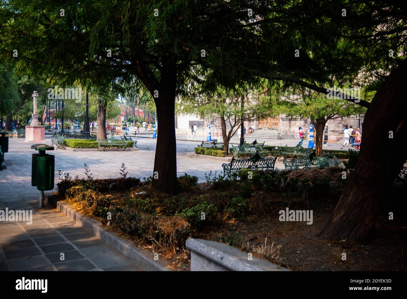 Big tree shade bench hi-res stock photography and images - Alamy
