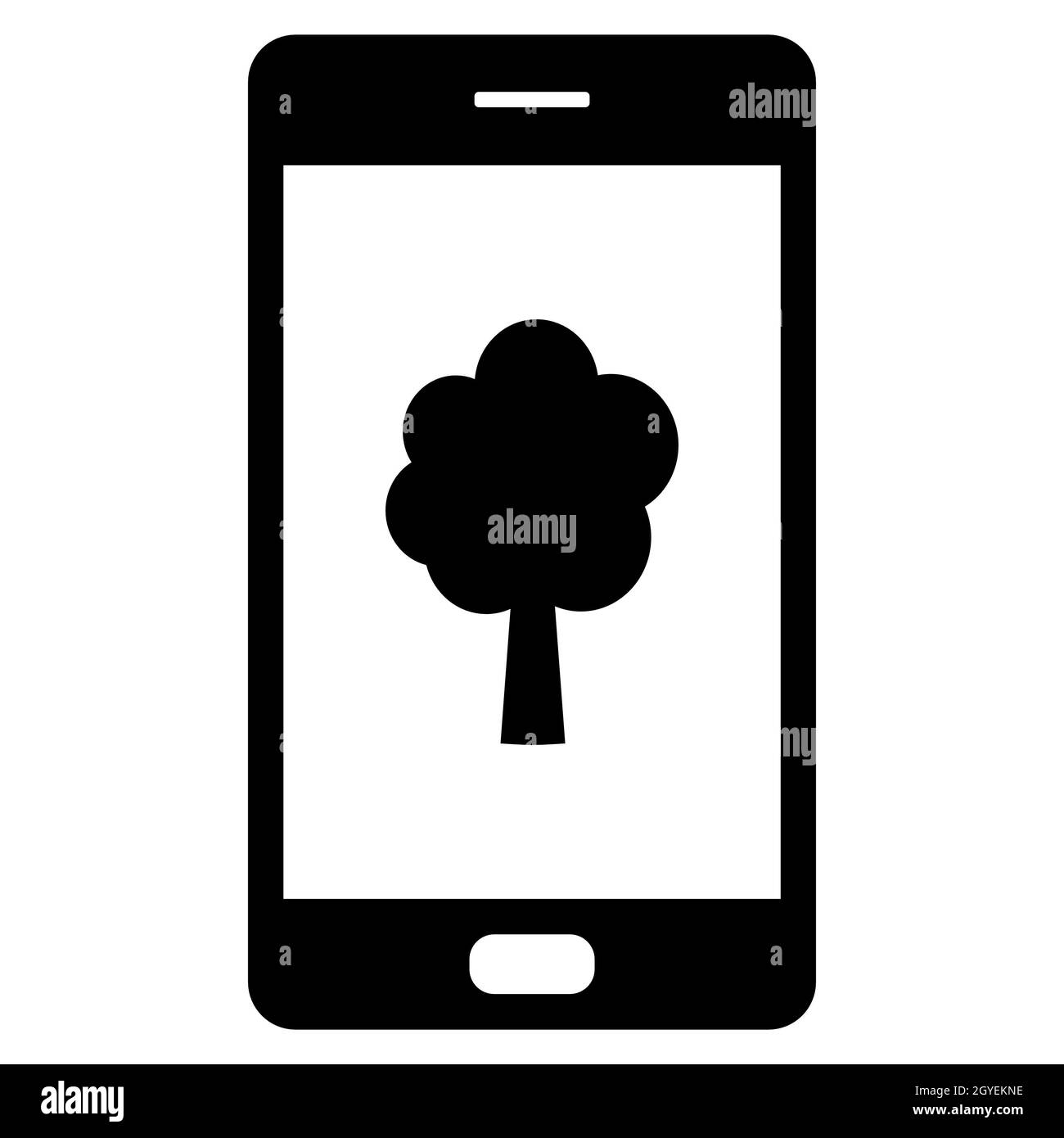 Broadleaf tree Black and White Stock Photos & Images - Alamy