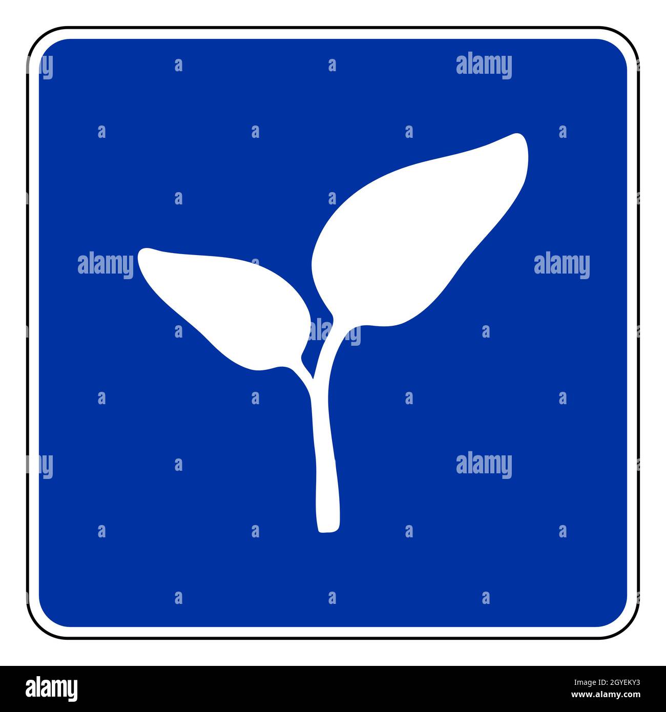 Plant and road sign Stock Photo - Alamy