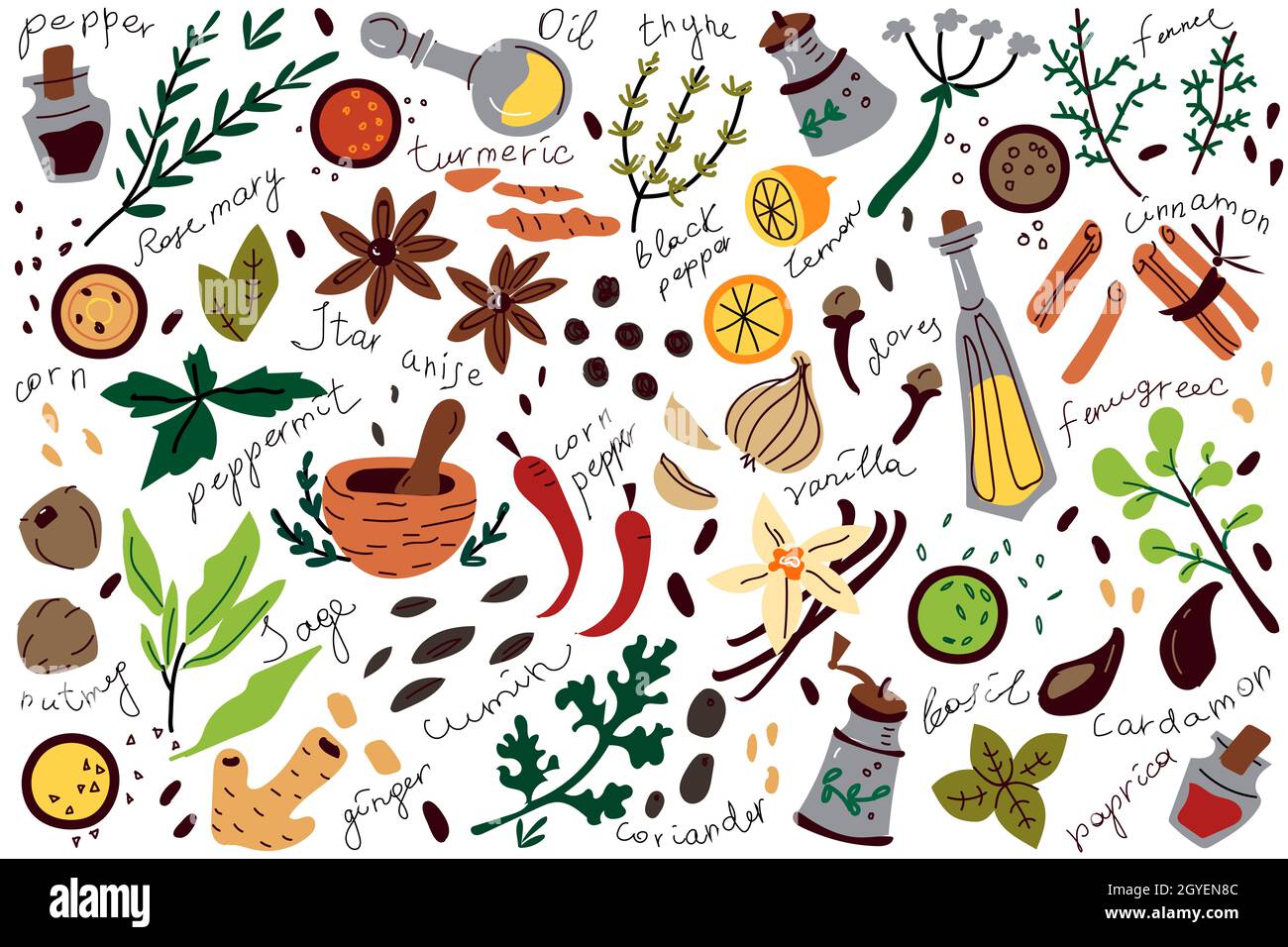 Spices doodle set. Collection of sketches different condiments herbs ...