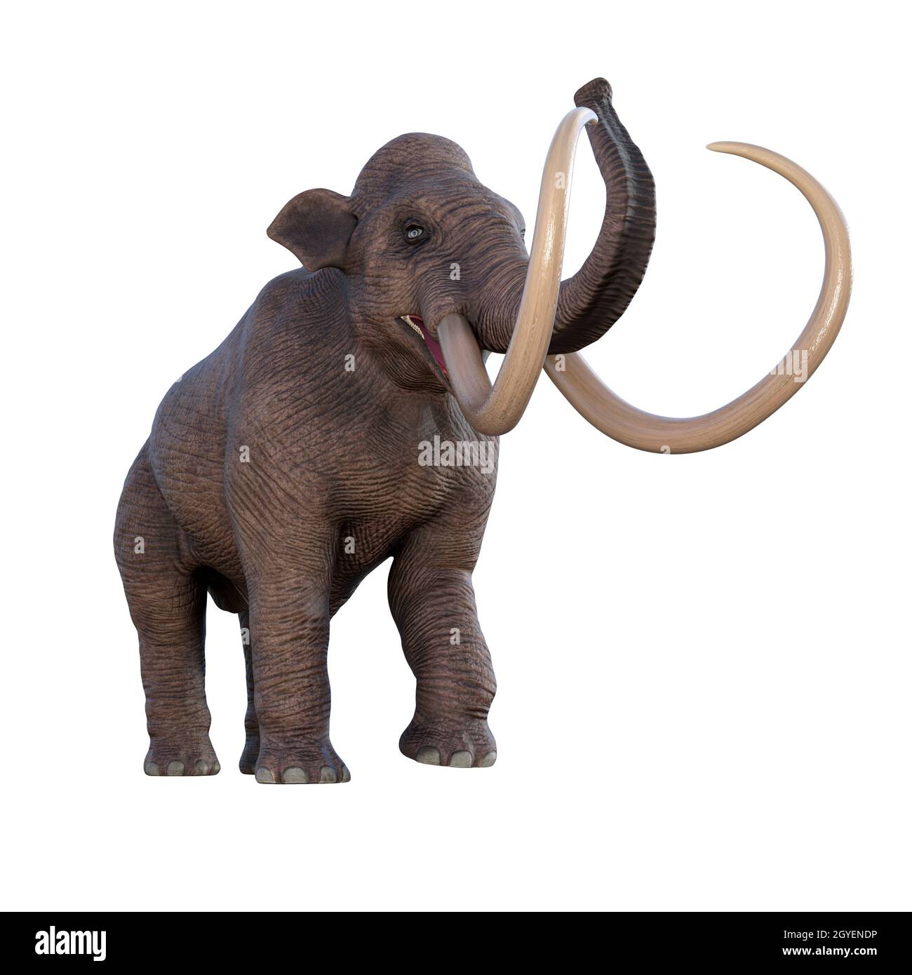 Columbian Mammoth was an elephant that lived in the Pleistocene Period ...