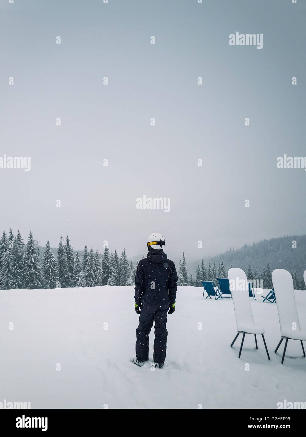 Rear view of a skier on the top of a mountain looking at the snow ...