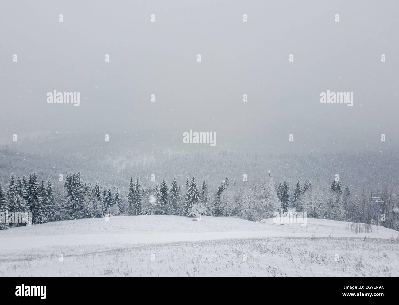 Snowscape foggy forest mountain background hi-res stock photography and ...