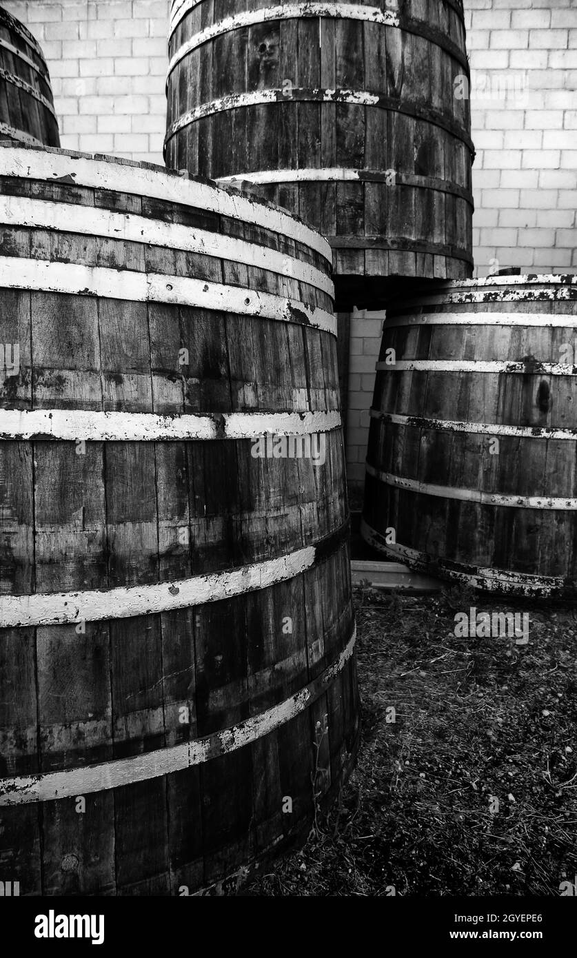 Detail of old containers for alcoholic beverages, wine culture ...